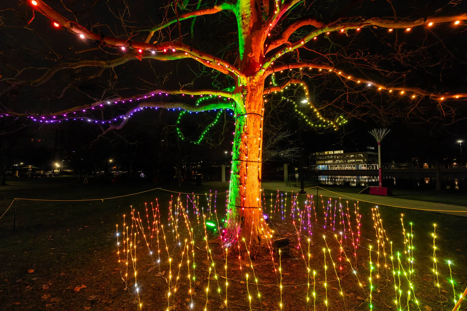 Magical Tree of Light - World of Winter